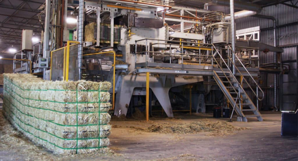 Making Export Hay Bales Sexy - CBC Australia PTY LTD